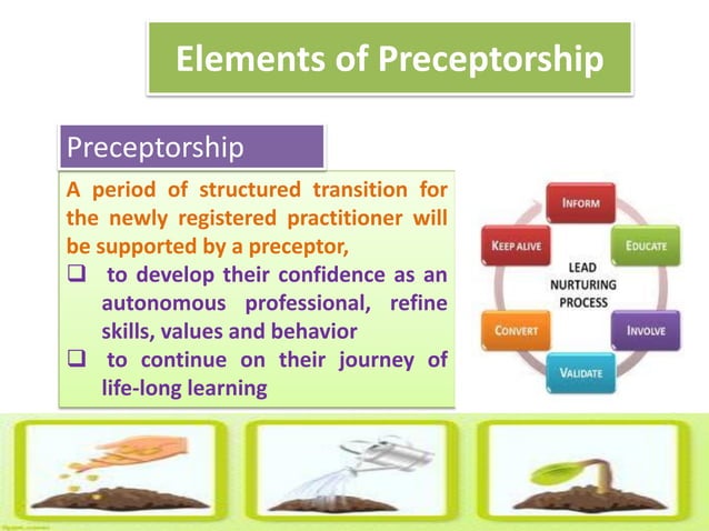Preceptorship overview and framework | PDF