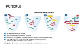 Precipation reaction | PPT