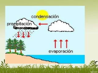 Precipitaciones | PPTX
