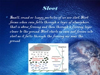 Precipitation | PPT