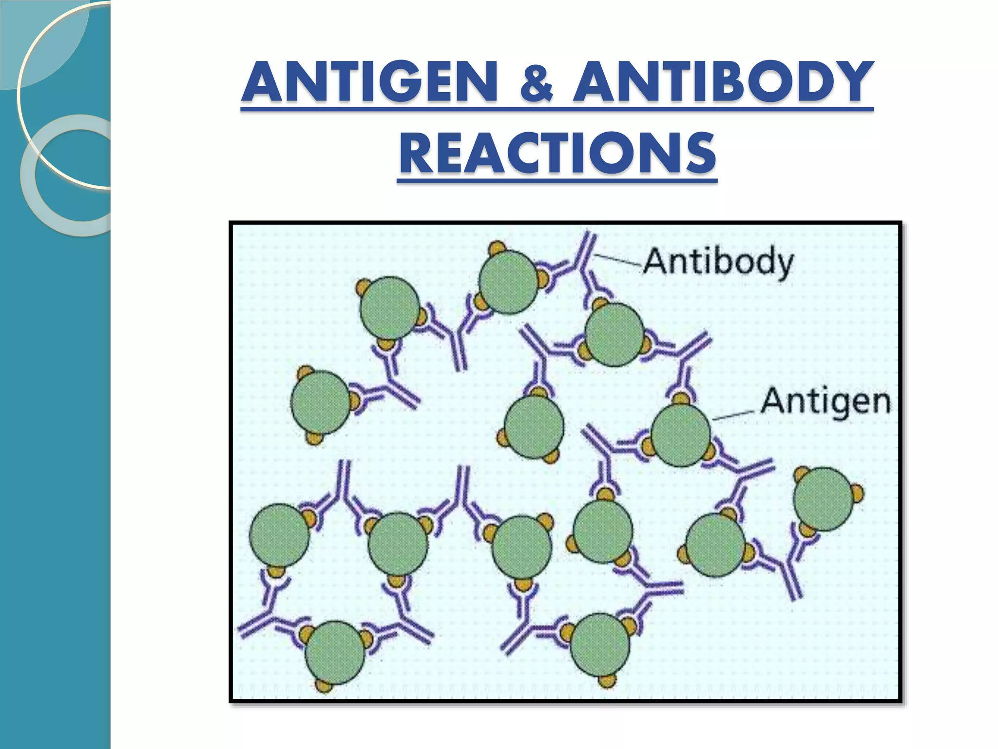 Antigen-Antibody Reactions | PPTX
