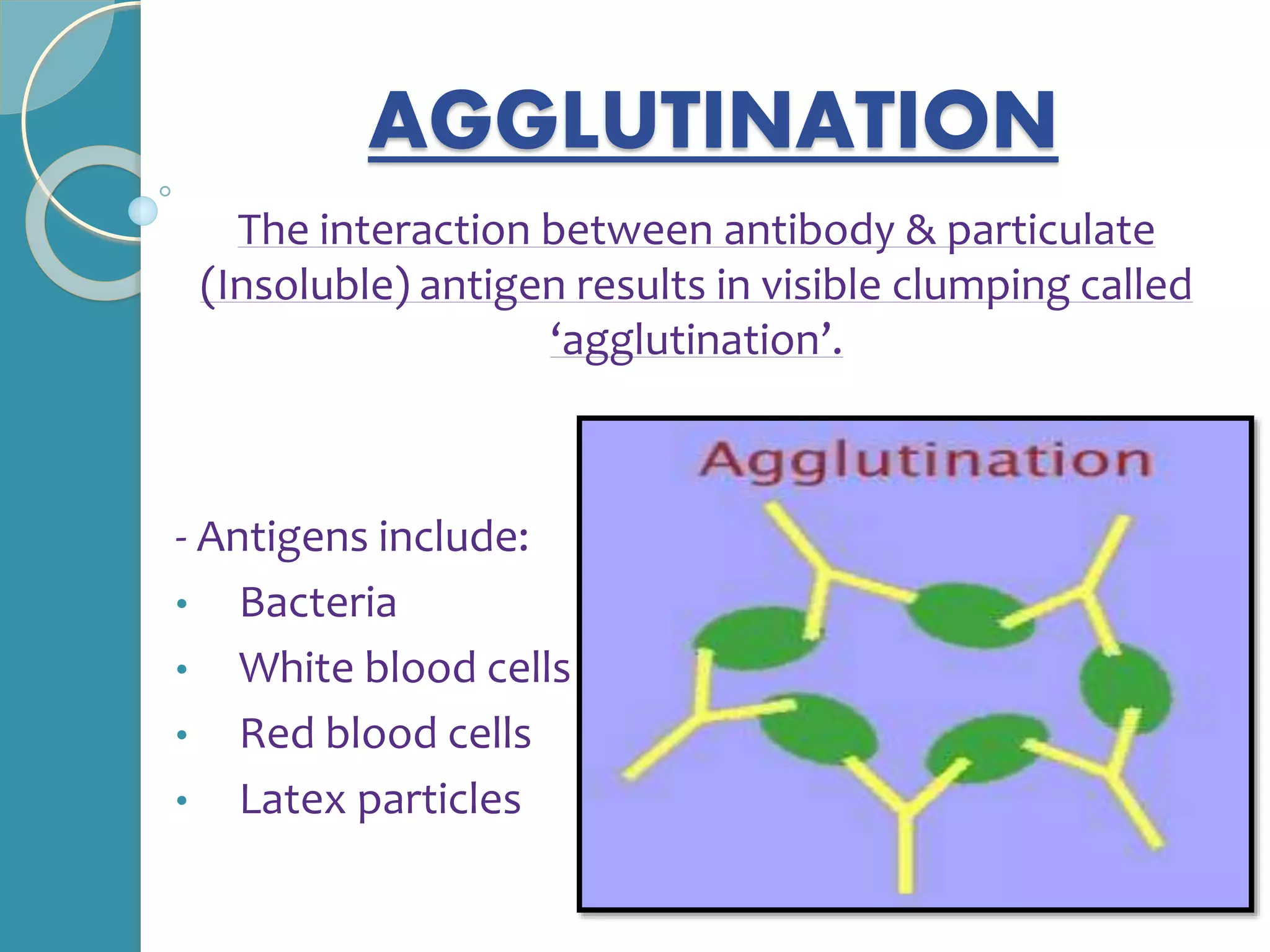 Antigen-Antibody Reactions | PPTX