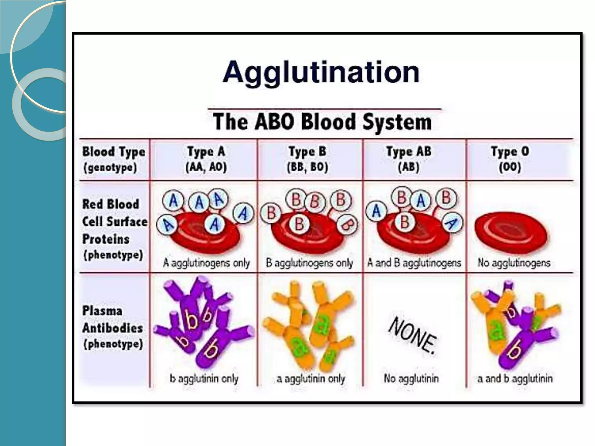 Antigen-Antibody Reactions | PPTX
