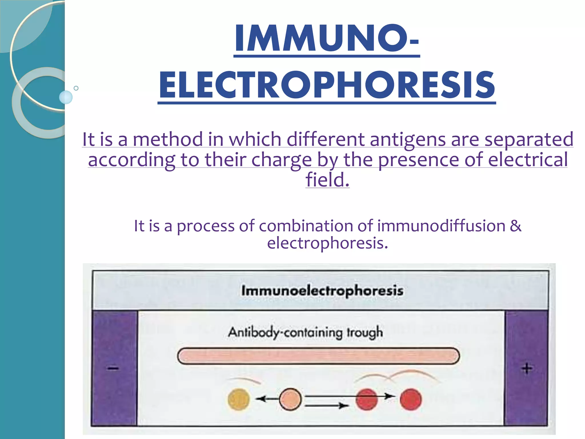 Antigen-Antibody Reactions | PPTX