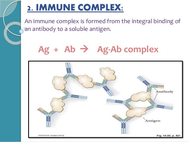 Antigen-Antibody Reactions