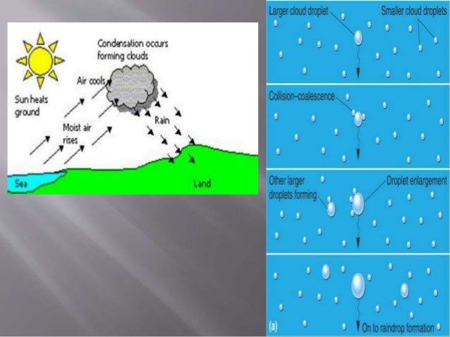 Precipitation, types and their different forms.
