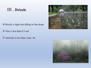 Precipitation | PPT