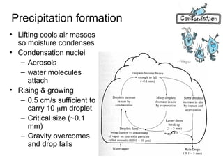 precipitation and its types presentation | PPT