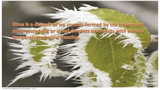 PRECIPITATION [FINAL ROUND].pptx