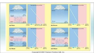 PRECIPITATION [FINAL ROUND].pptx