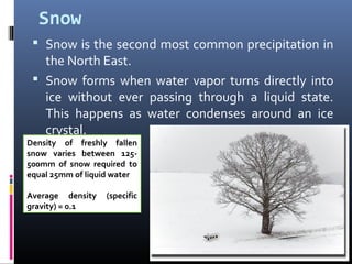 Precipitation | PPT