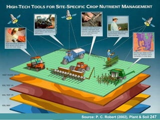 Precision agriculture in relation to nutrient management by Dr. Tarik ...