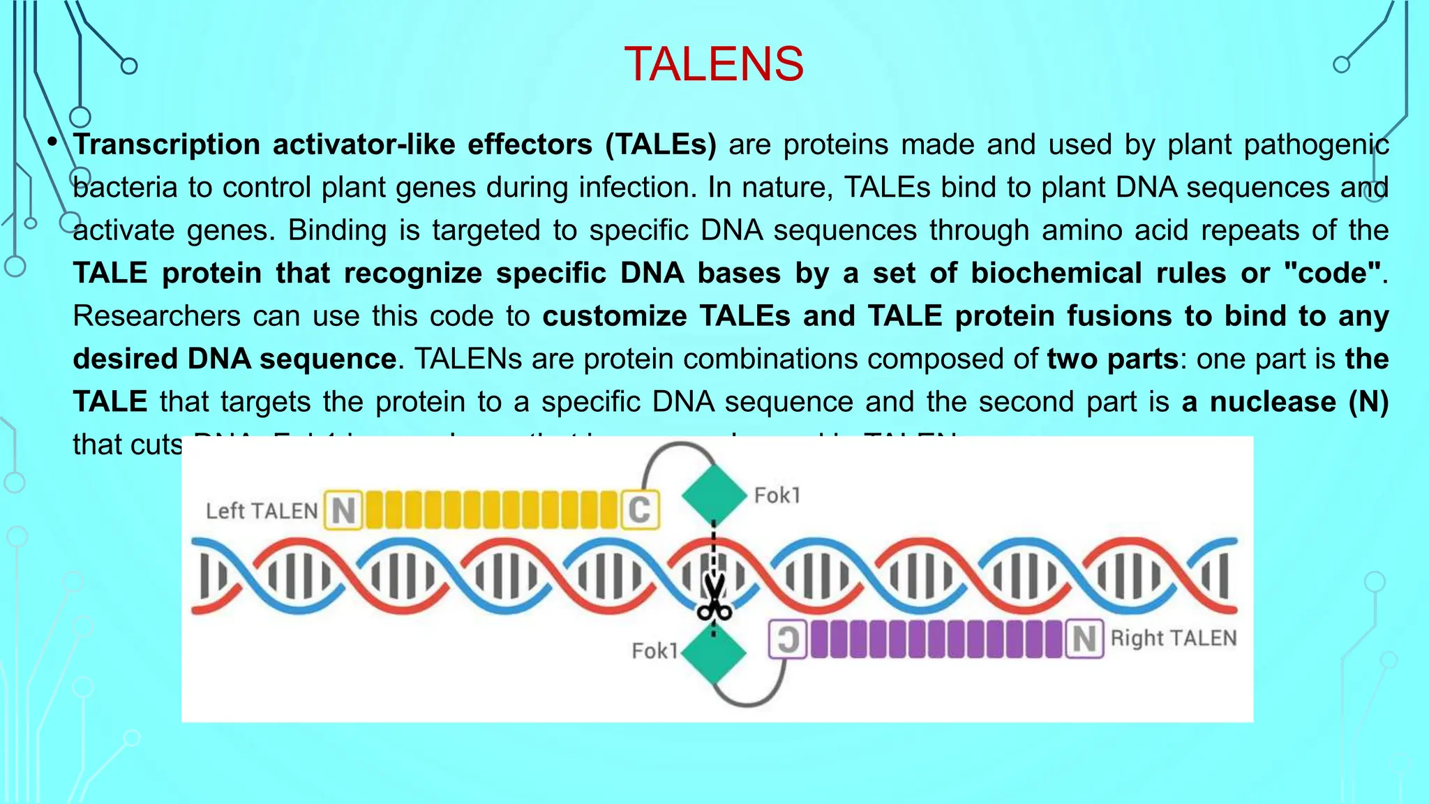 Precision Breeding for Climate-Smart Crops - Integrating Genome Editing ...