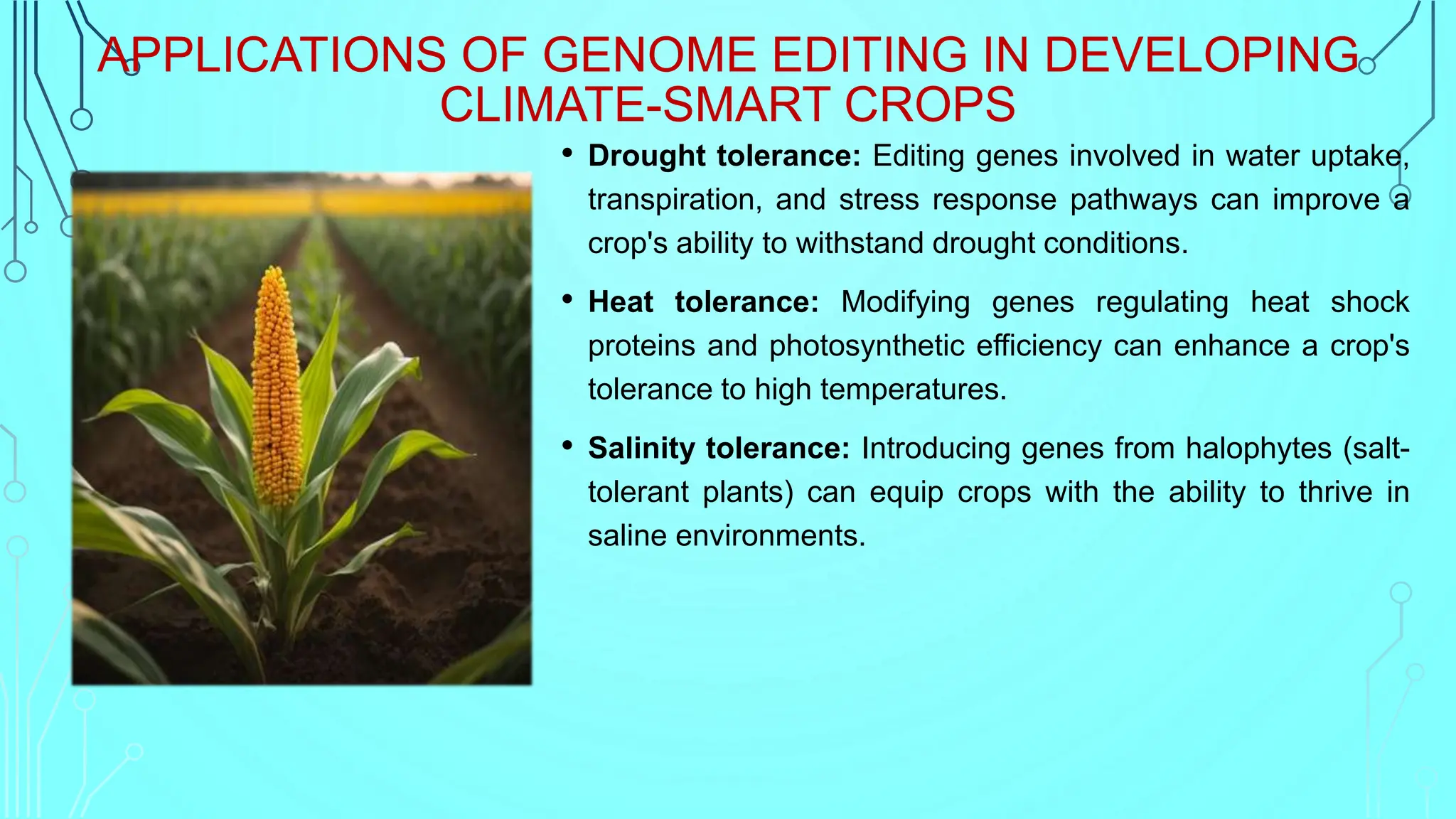 Precision Breeding for Climate-Smart Crops - Integrating Genome Editing ...