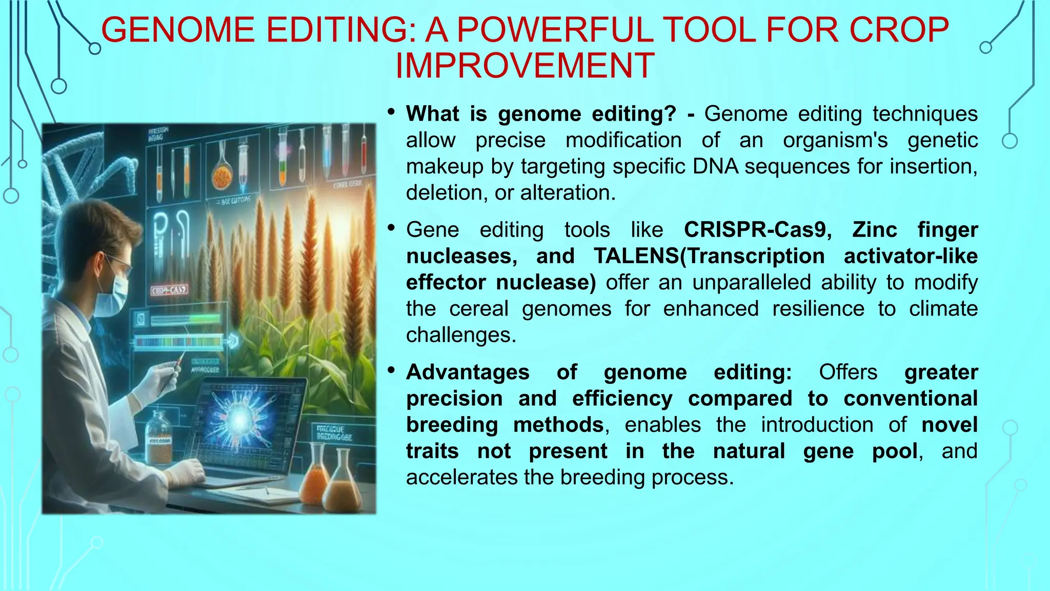 Precision Breeding for Climate-Smart Crops - Integrating Genome Editing and Bioinformatics Final ...