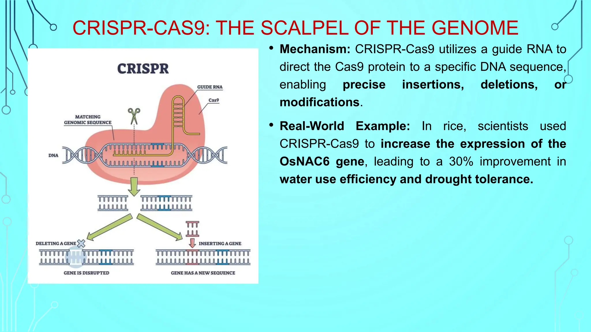 Precision Breeding for Climate-Smart Crops - Integrating Genome Editing ...