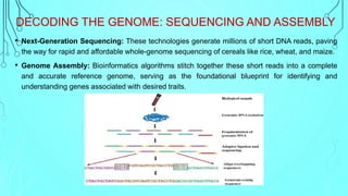Precision Breeding for Climate-Smart Crops - Integrating Genome Editing ...