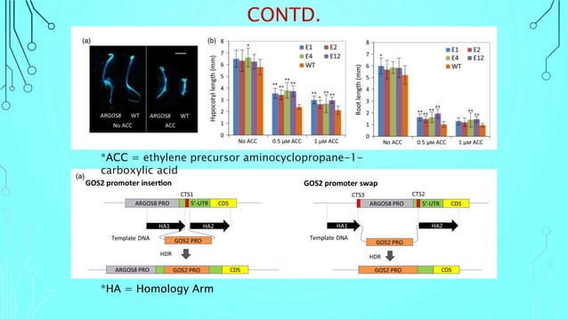 Precision Breeding for Climate-Smart Crops - Integrating Genome Editing ...