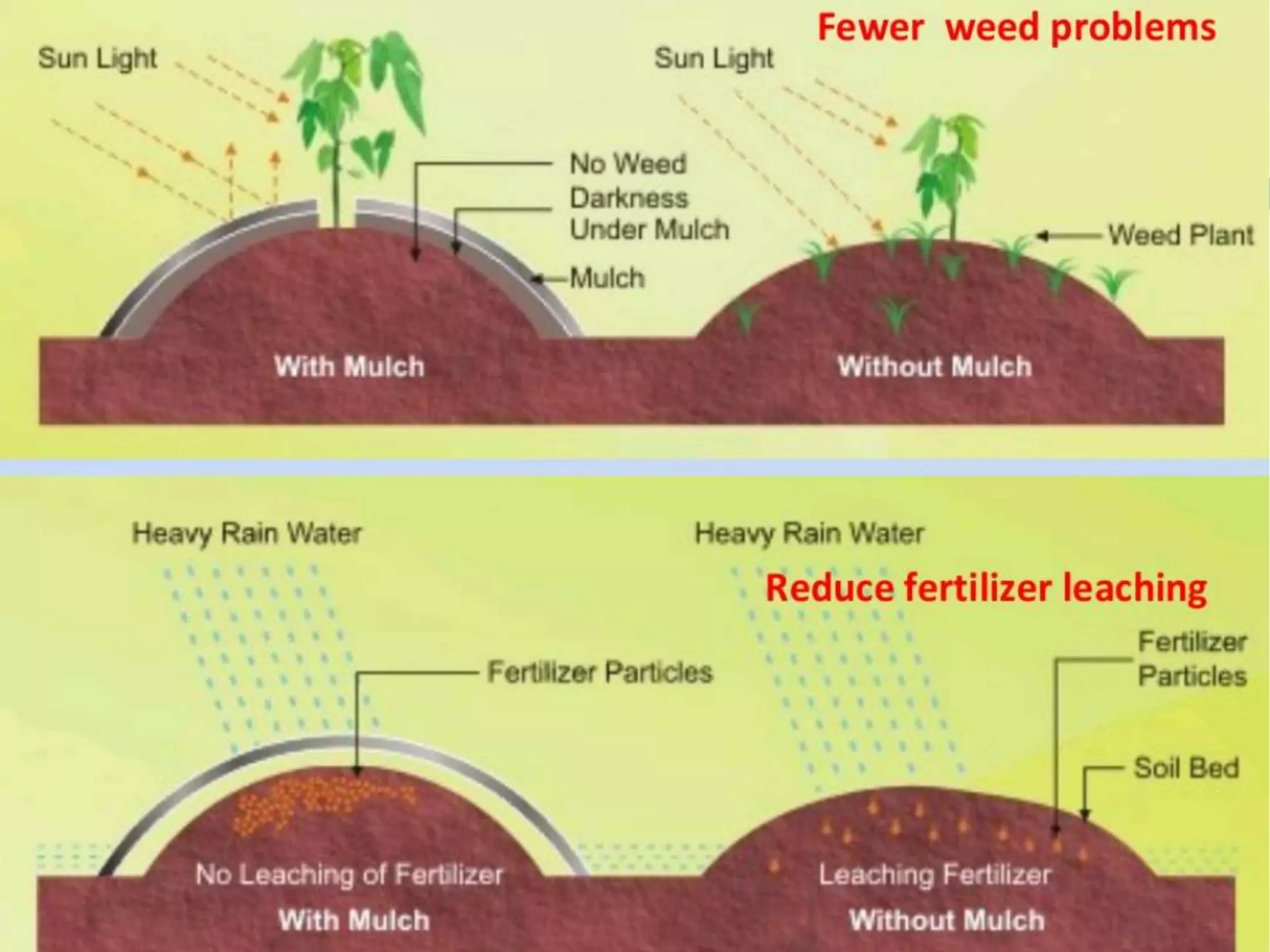 Precision farming in horticulture | PPTX