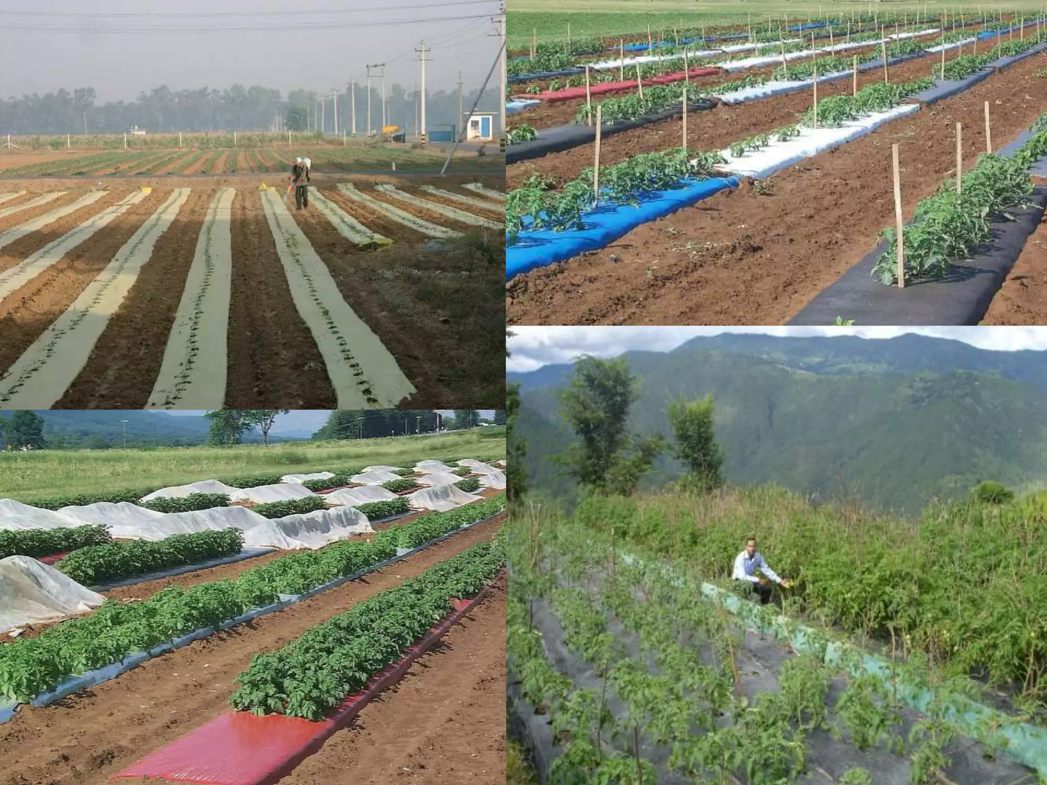 Precision farming in horticulture | PPTX