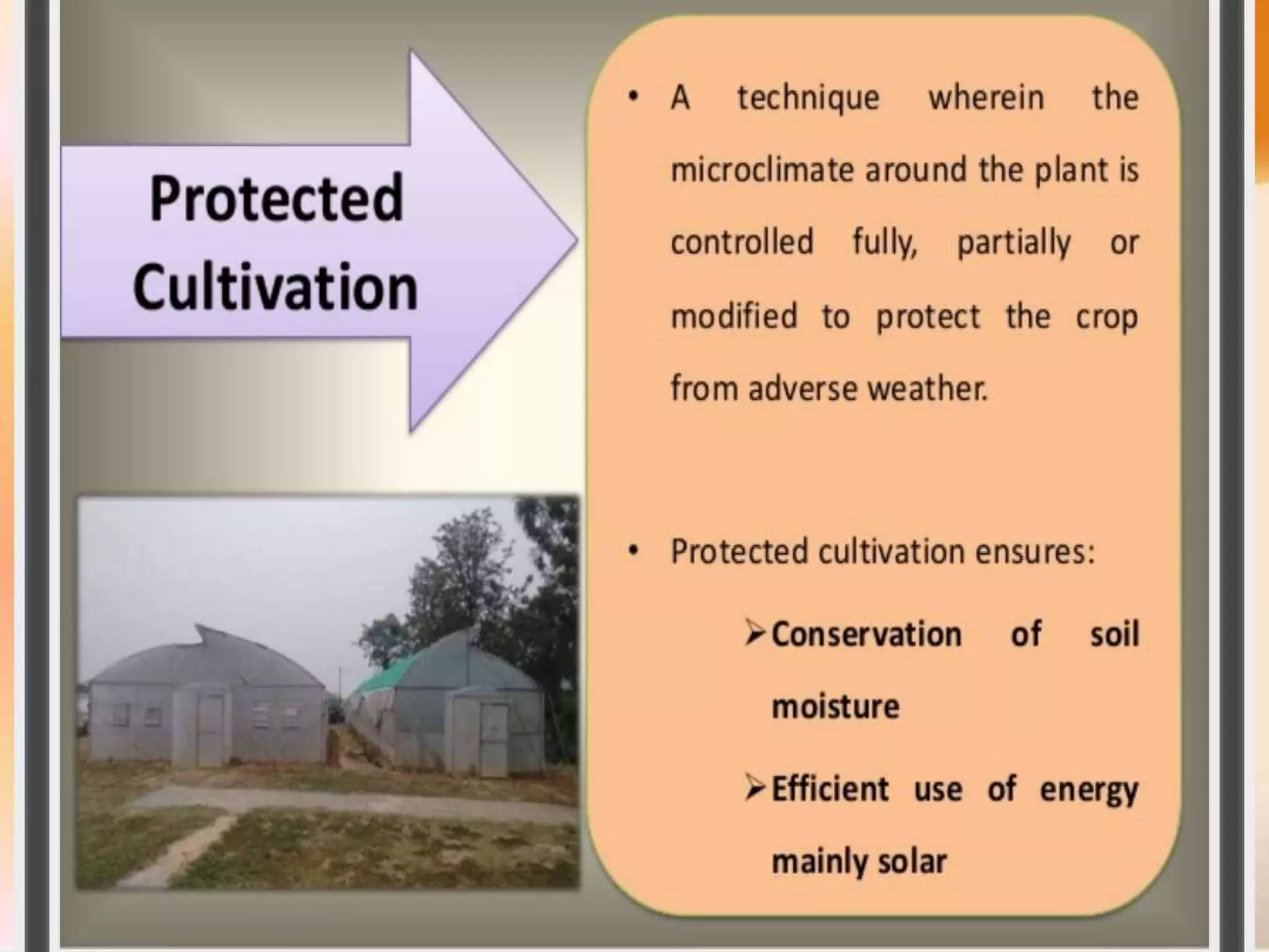 Precision farming in horticulture | PPTX