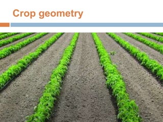 Precision farming in horticulture | PPTX