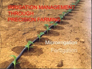 Precision farming in horticulture | PPTX