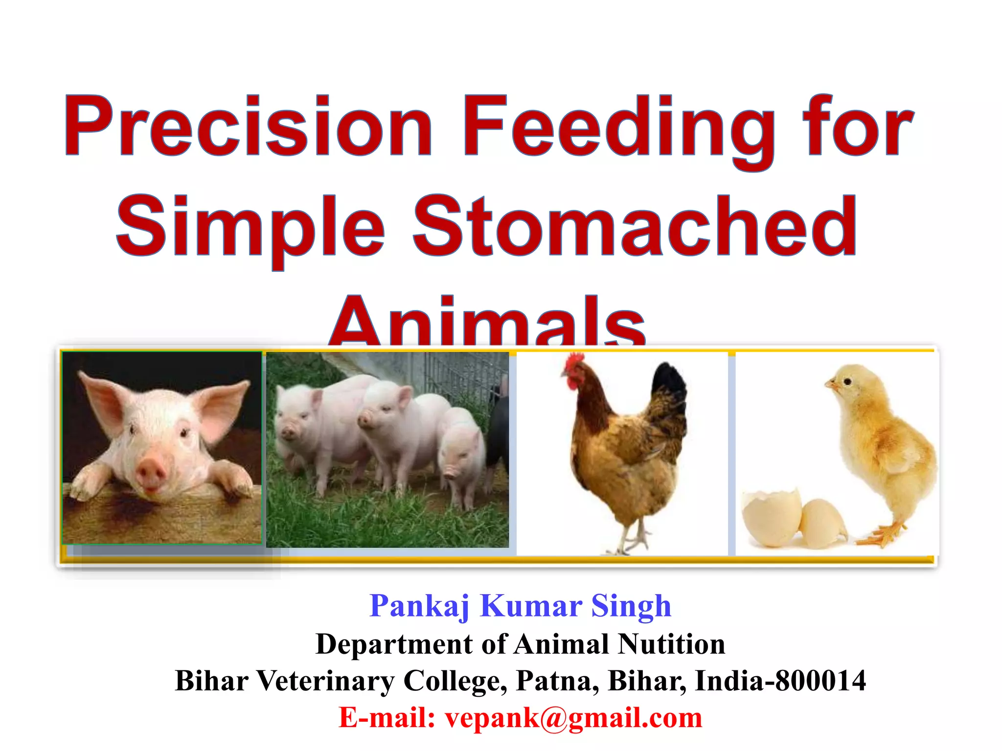 Precision feeding in livestock | PPTX