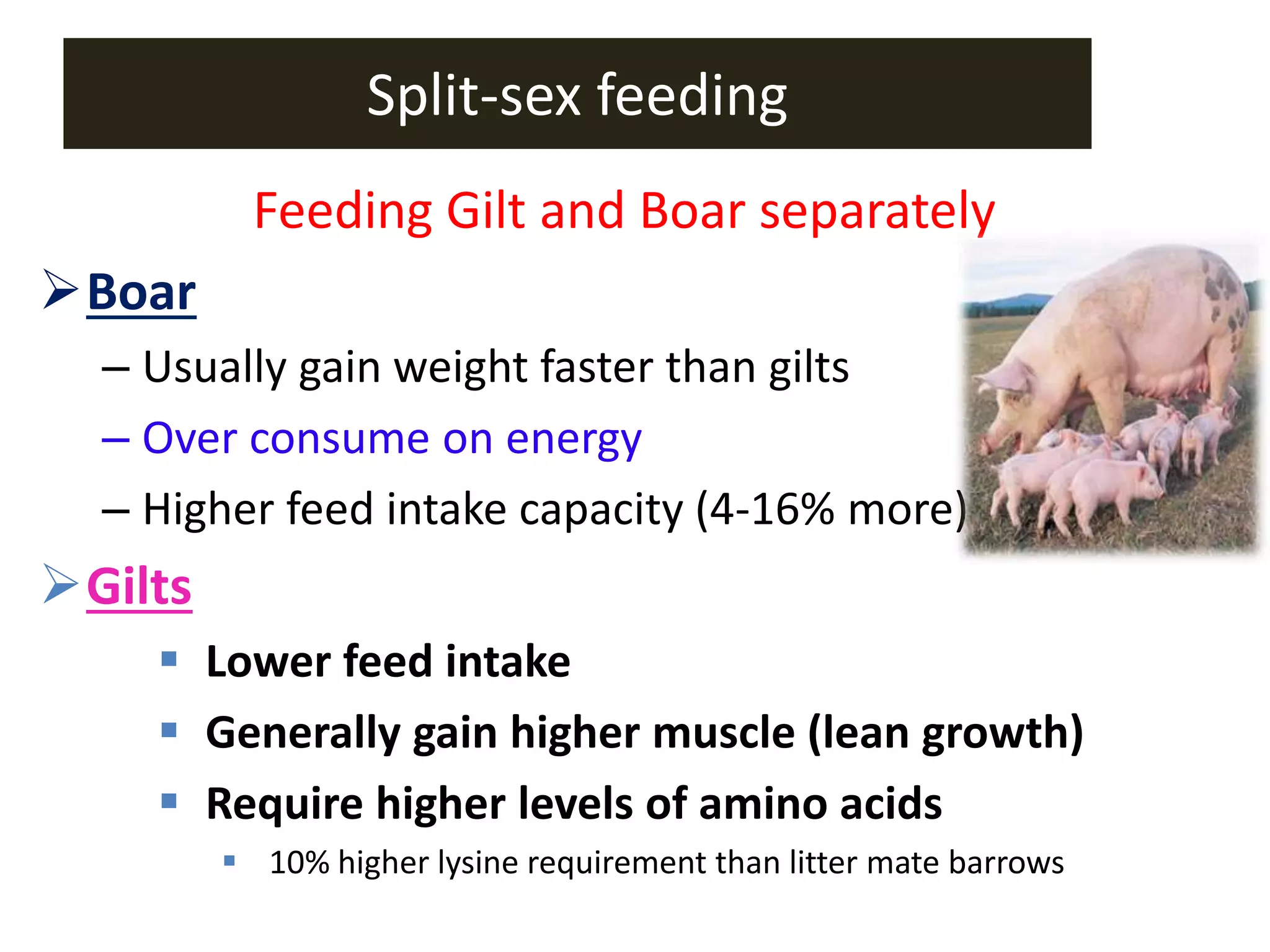Precision feeding in livestock | PPTX