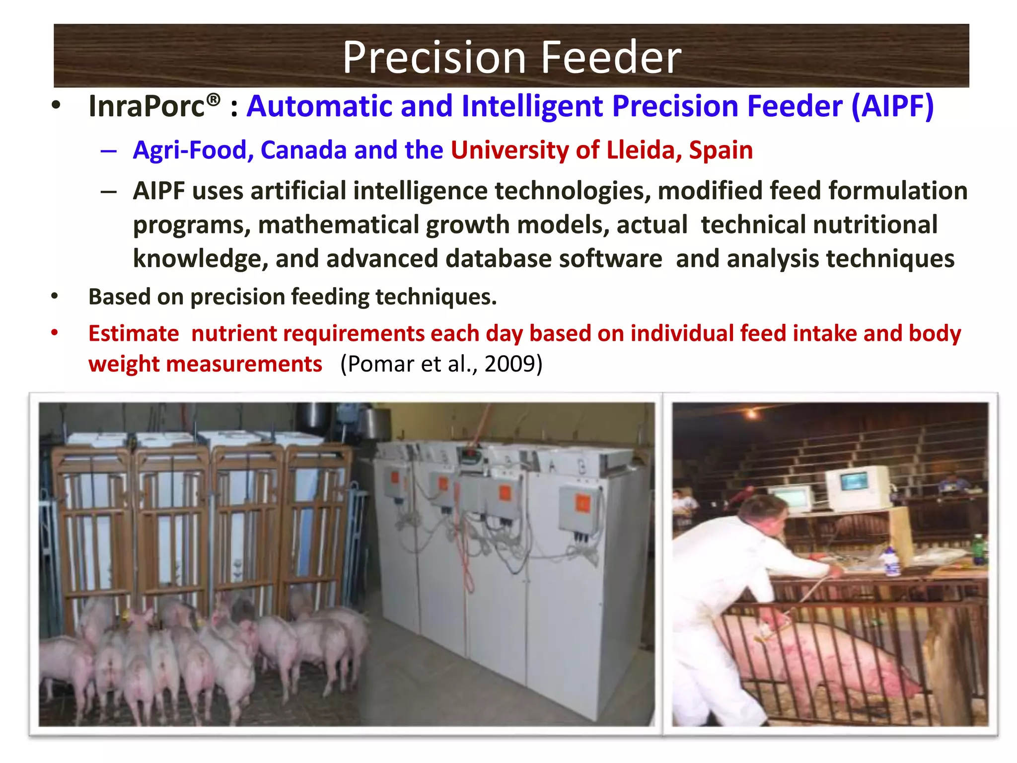 Precision feeding in livestock | PPTX