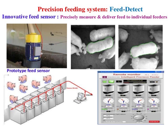 Precision feeding in livestock