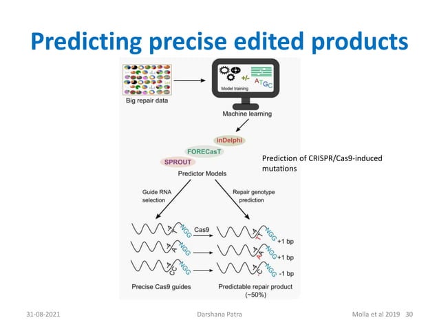 Precision Breeding in Plants | PPT