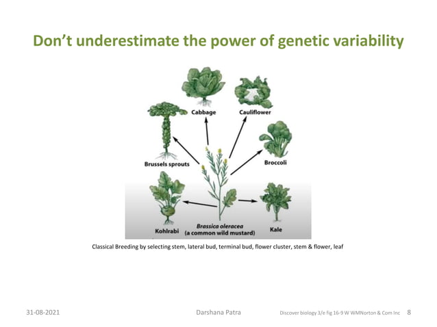 Precision Breeding in Plants | PPT