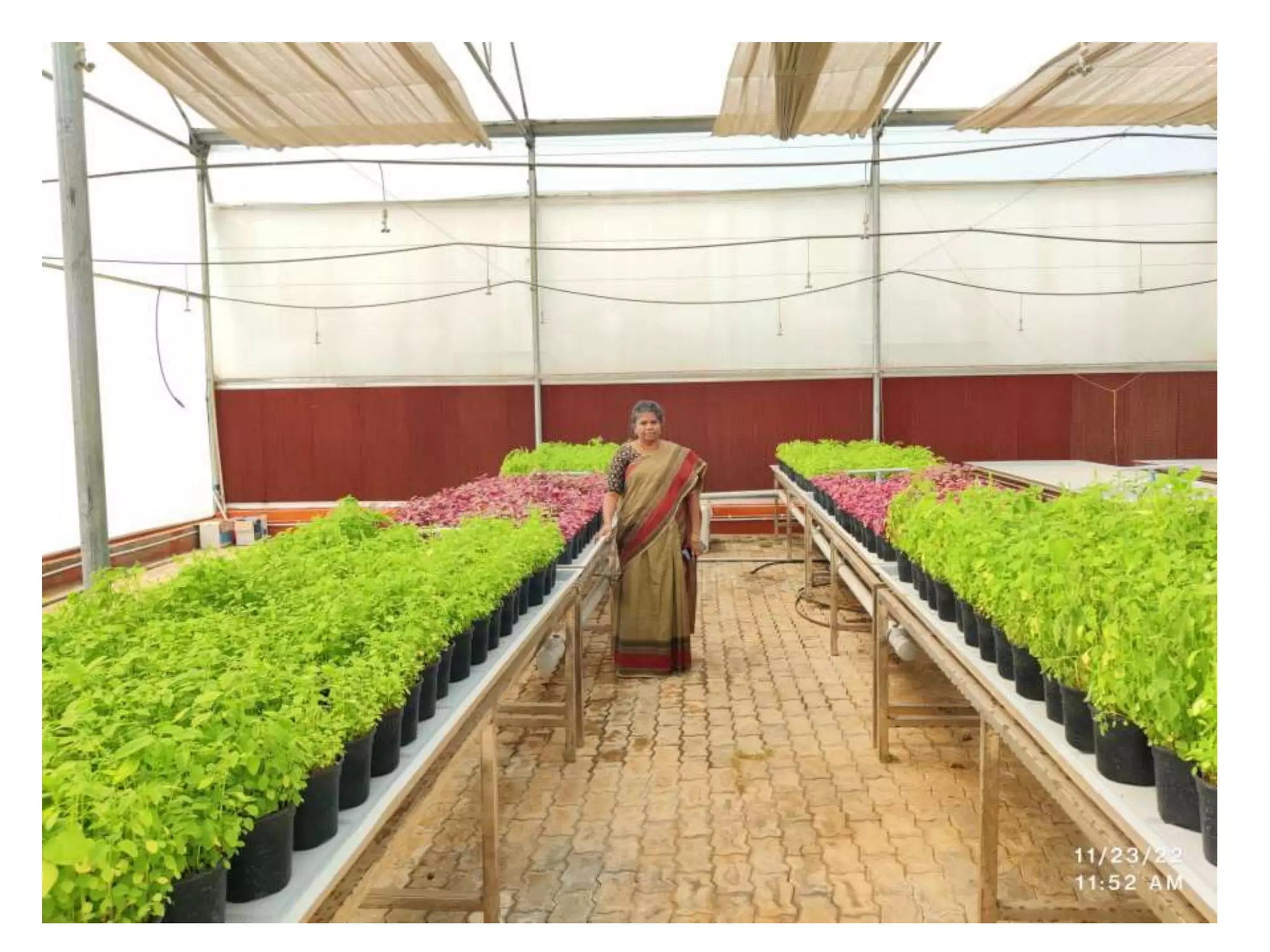 Precision Horticulture.pptx