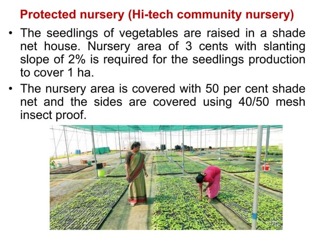 Precision Horticulture.pptx | Agriculture | Industries