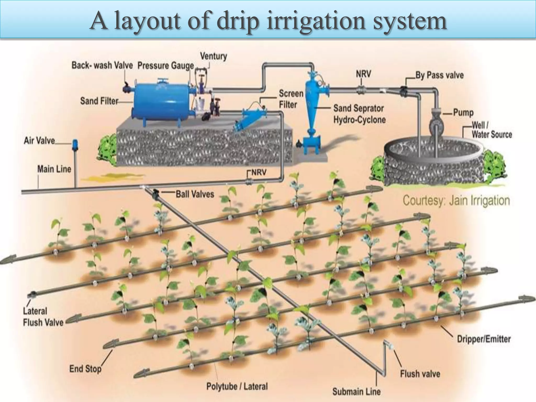 Precision Irrigation Management.pptx