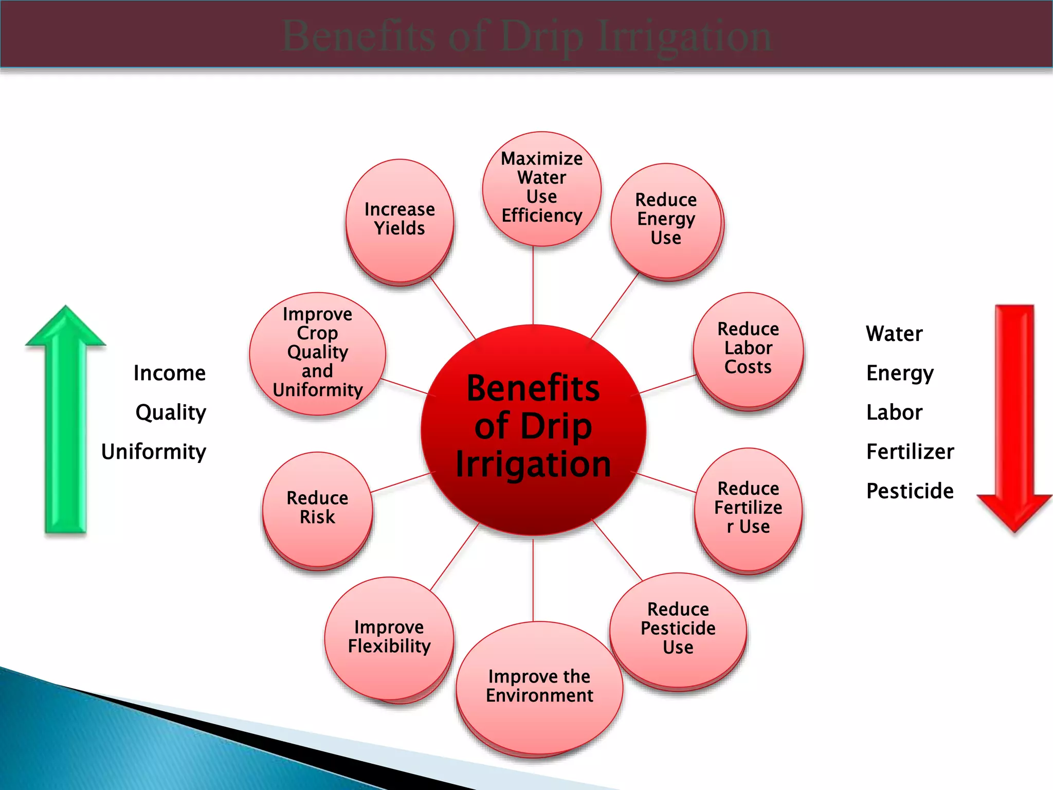 Precision Irrigation Management.pptx