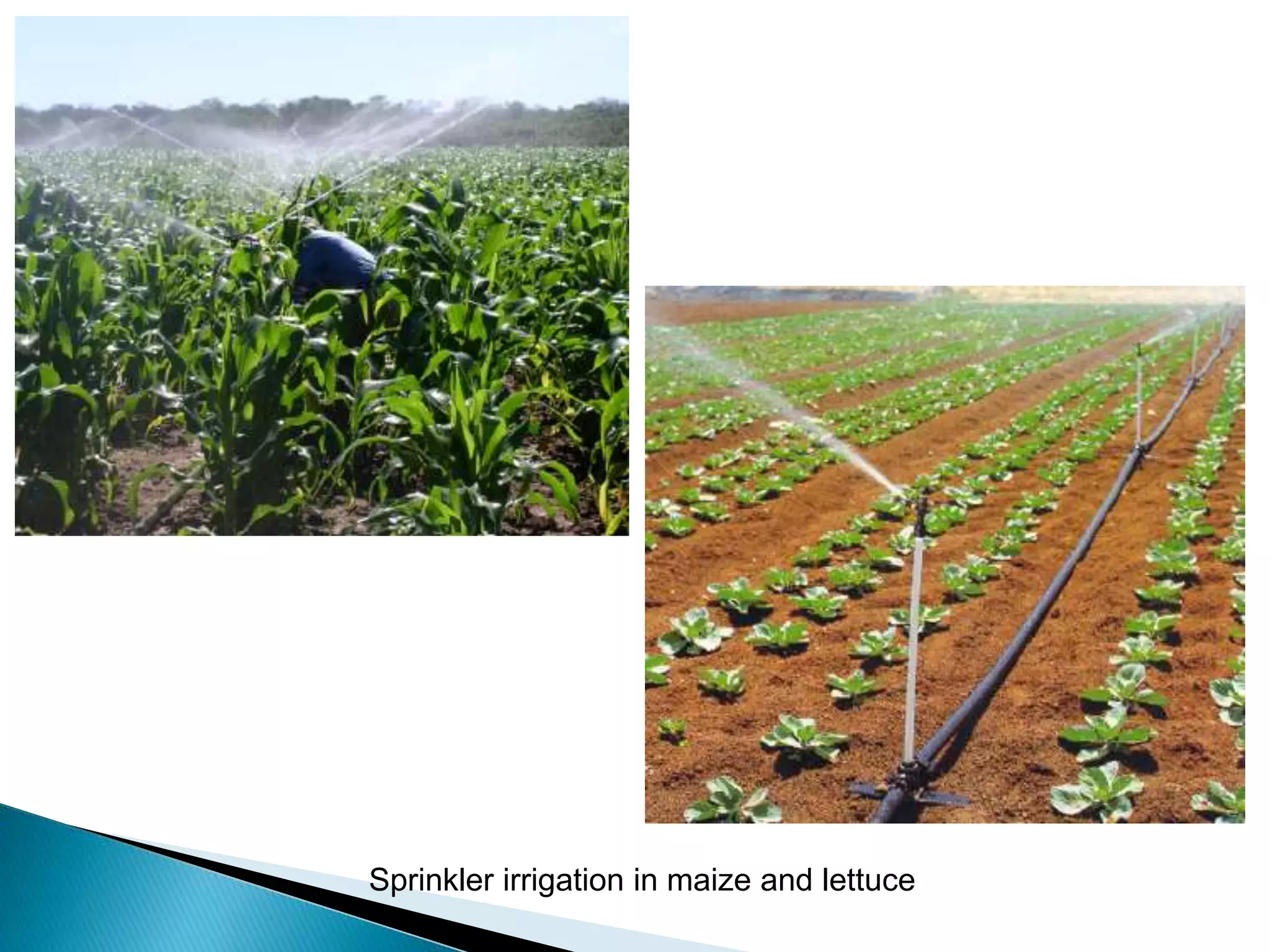 Precision Irrigation Management.pptx