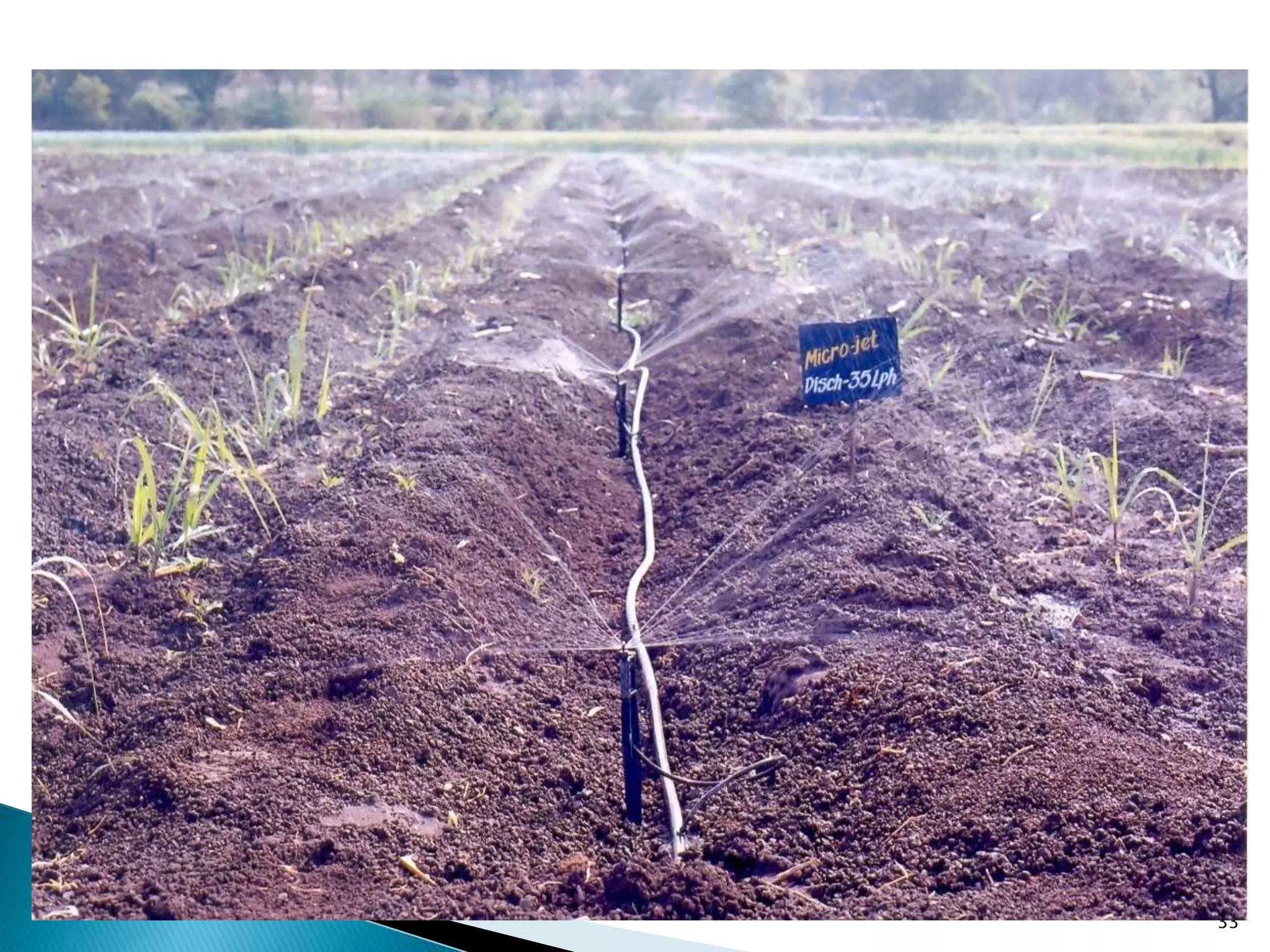 Precision Irrigation Management.pptx