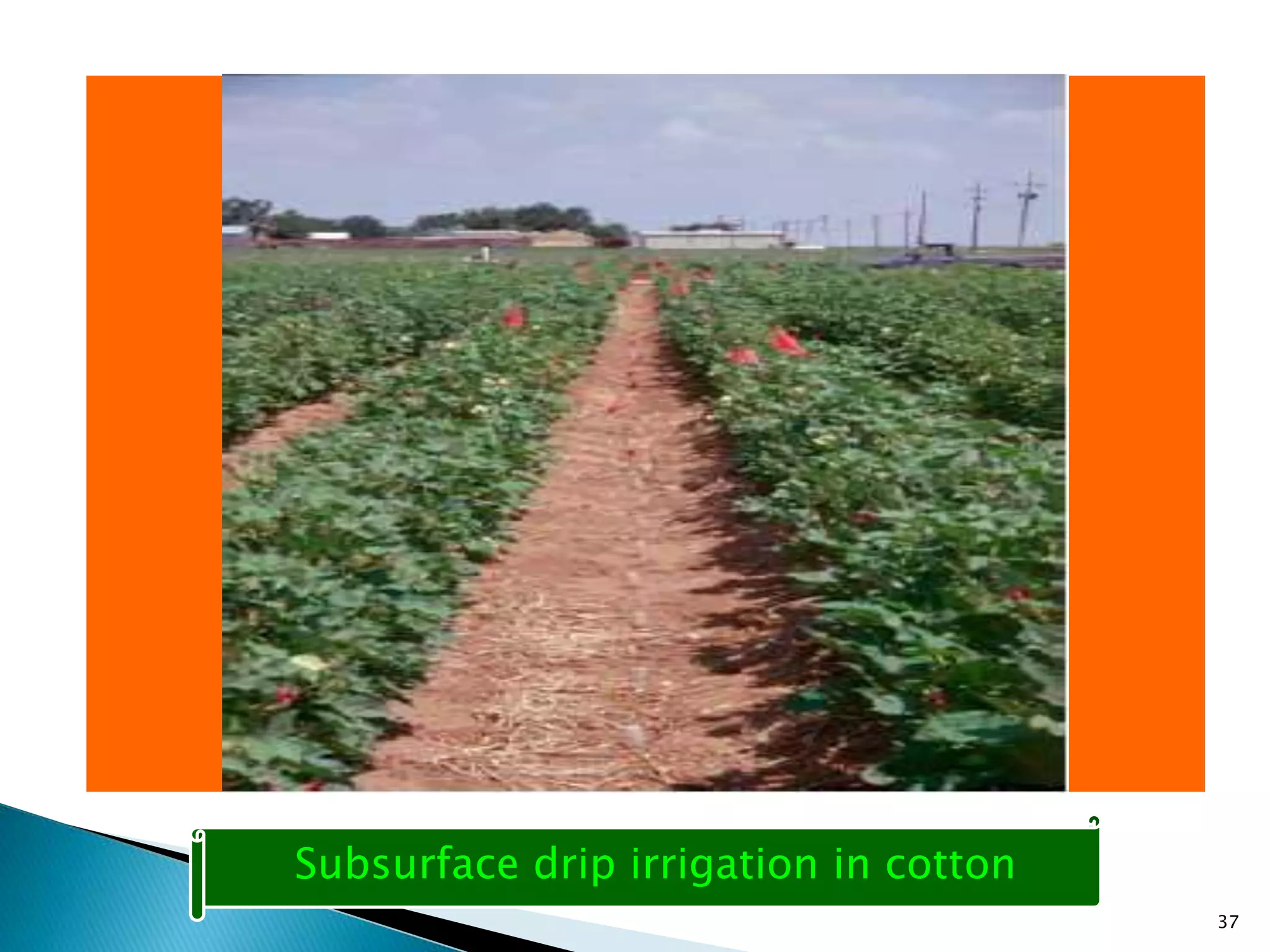 Precision Irrigation Management.pptx
