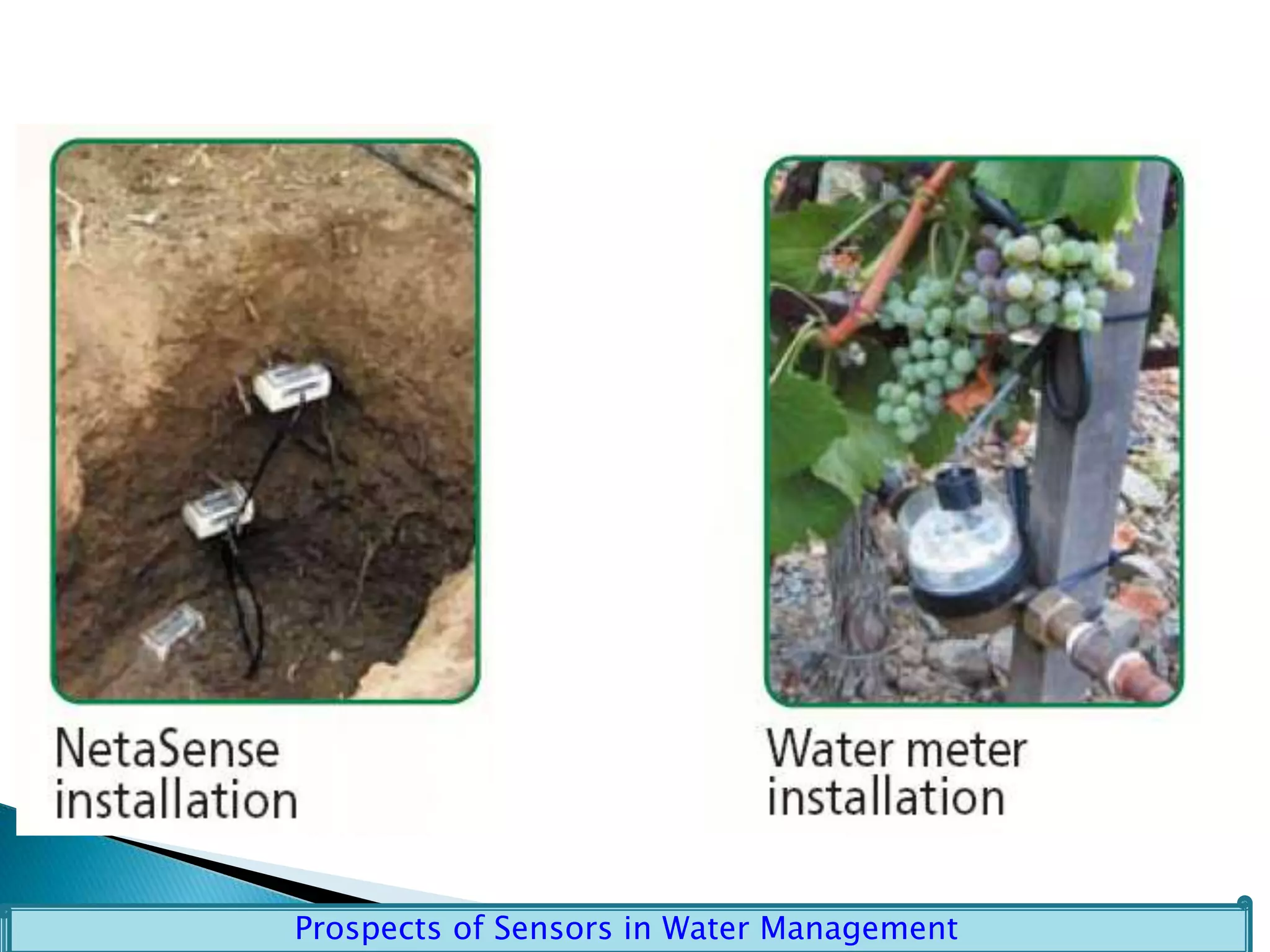 Precision Irrigation Management.pptx