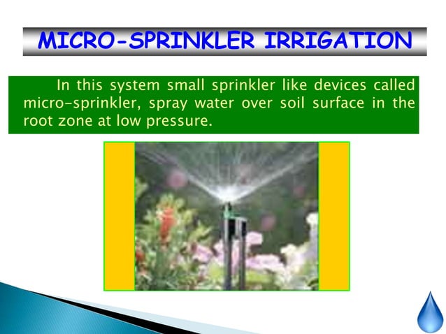 Precision Irrigation Management.pptx