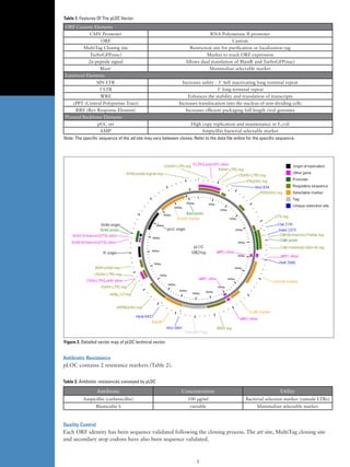 Precision Lenti Orf Technical Manual | PDF