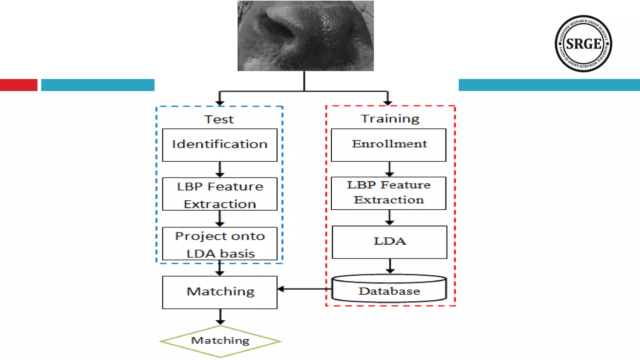 Precision Livestock Farming Cattle Identification Based On Biometric