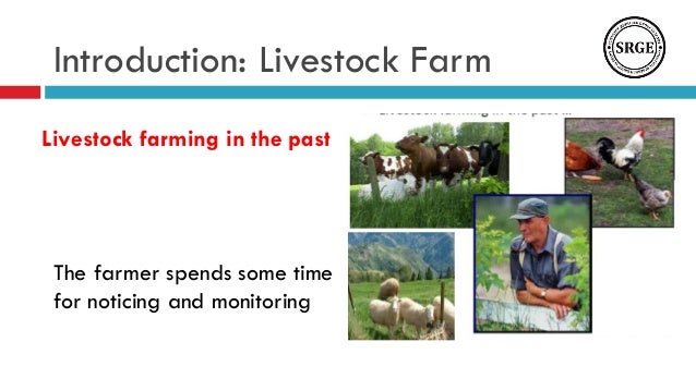 Precision Livestock Farming Cattle Identification Based On Biometric