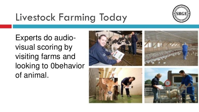Precision Livestock Farming Cattle Identification Based On Biometric