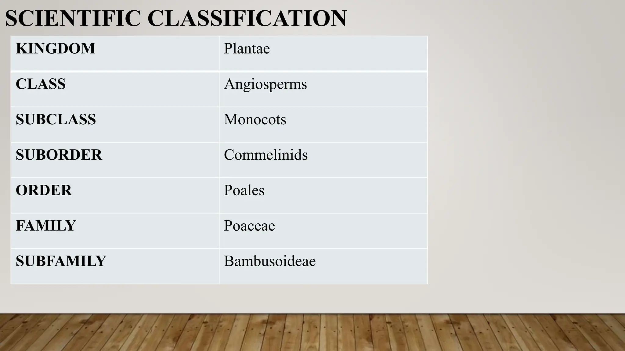 Precision Silviculture and Silviculture practices of bamboo.pptx