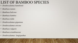 Precision Silviculture and Silviculture practices of bamboo.pptx