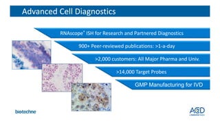 Expanding Precision Medicine & Biomarker Strategy Options with RNAscope ...