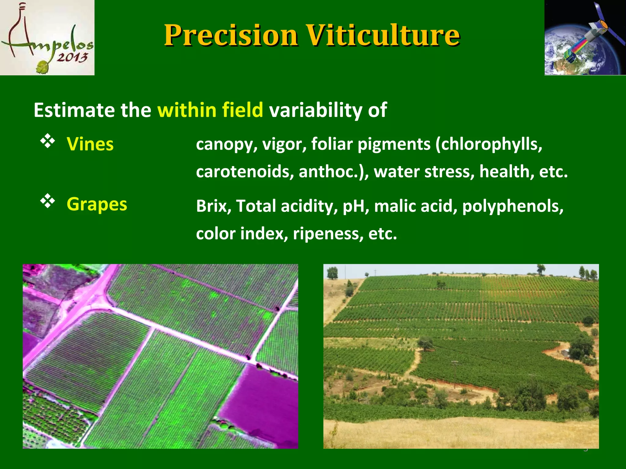 Precision Viticulture Ampelos 2013 | PPT